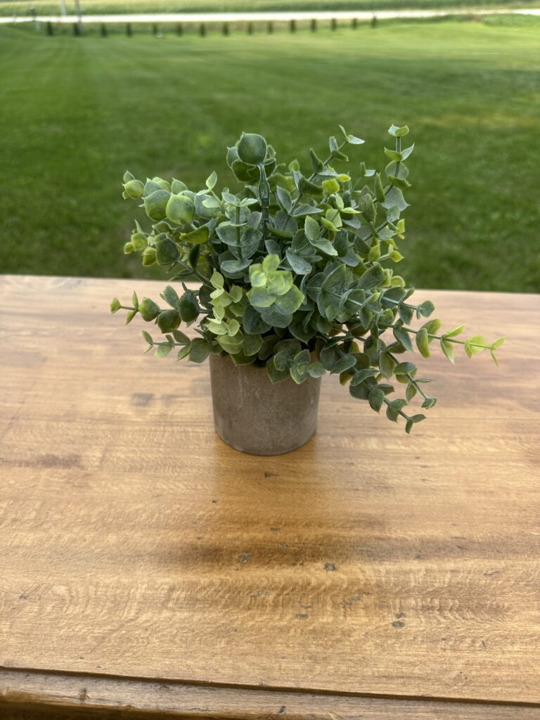 Assorted Greenery Pots - Willow Creek Rental